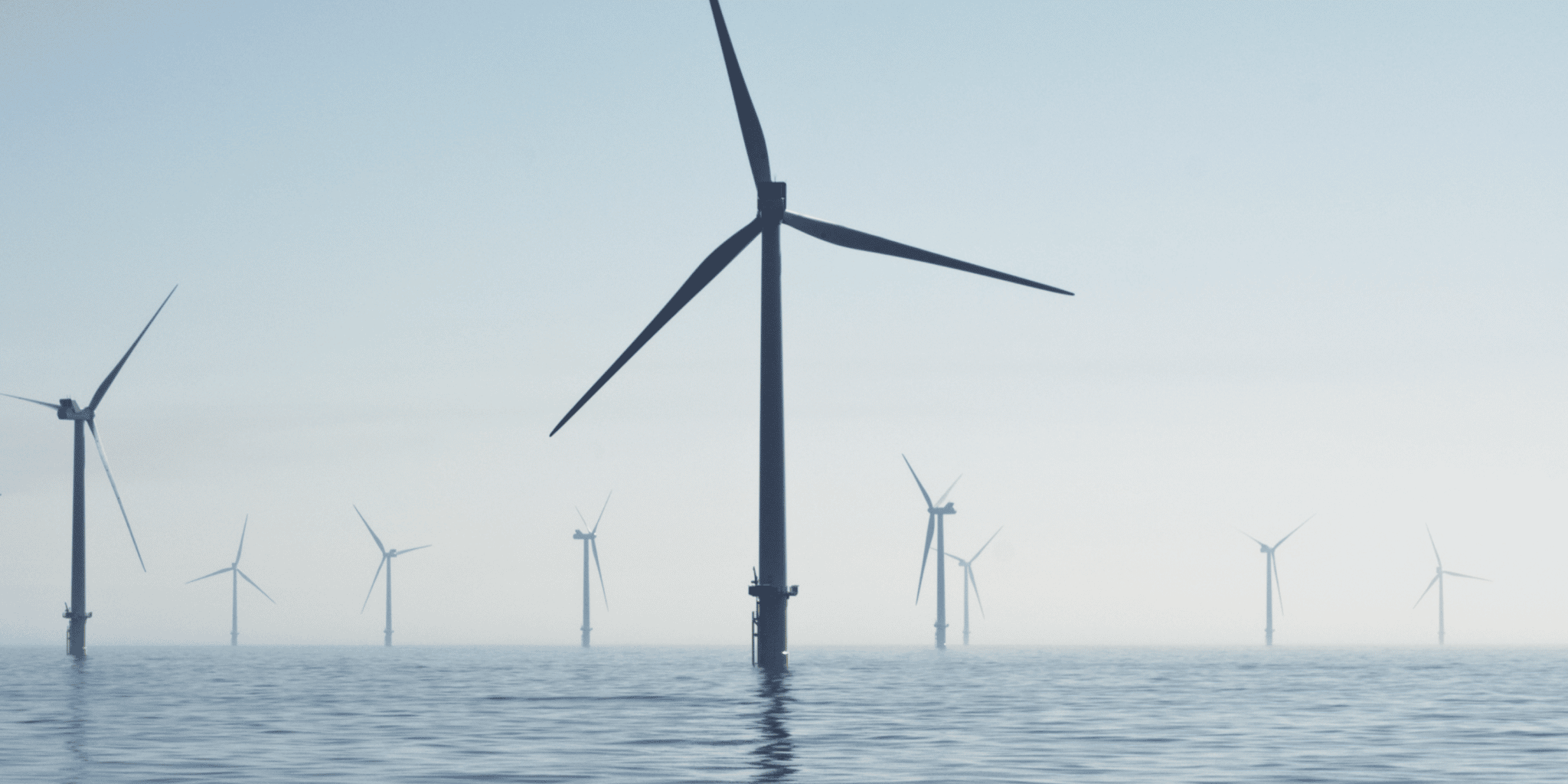 Offshore Wind Insight - Offshore Wind Insight